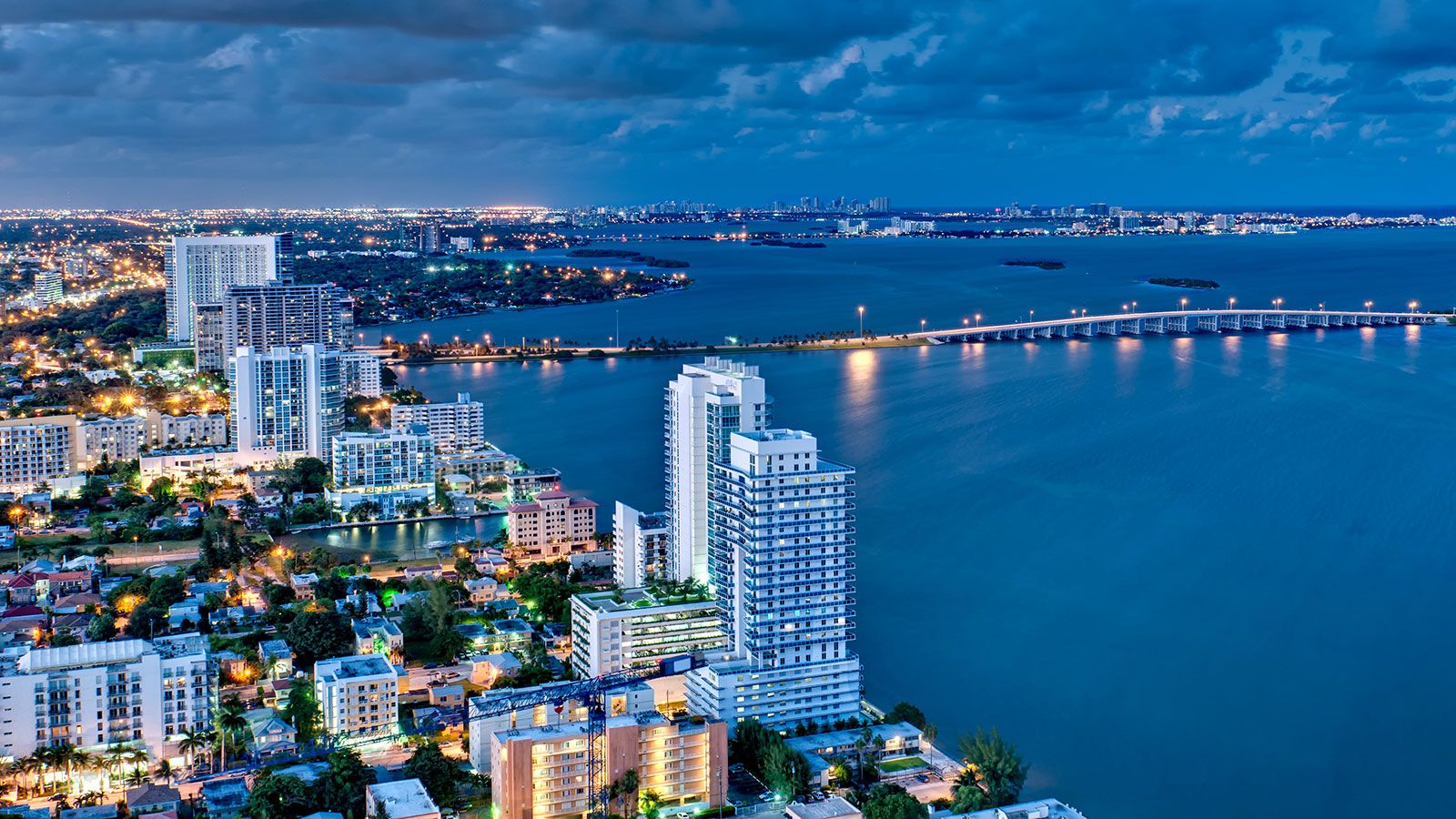 Miami through the ages: from the ancient Everglades to an art revolution
